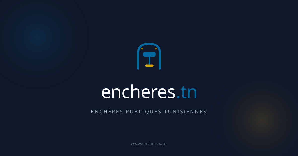 Vente aux enchères en Tunisie : le guide complet 2026 | Encheres.tn